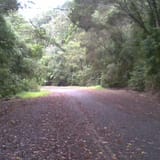Quaid Road, Queensland, Australia - 3 Reviews, Map | AllTrails