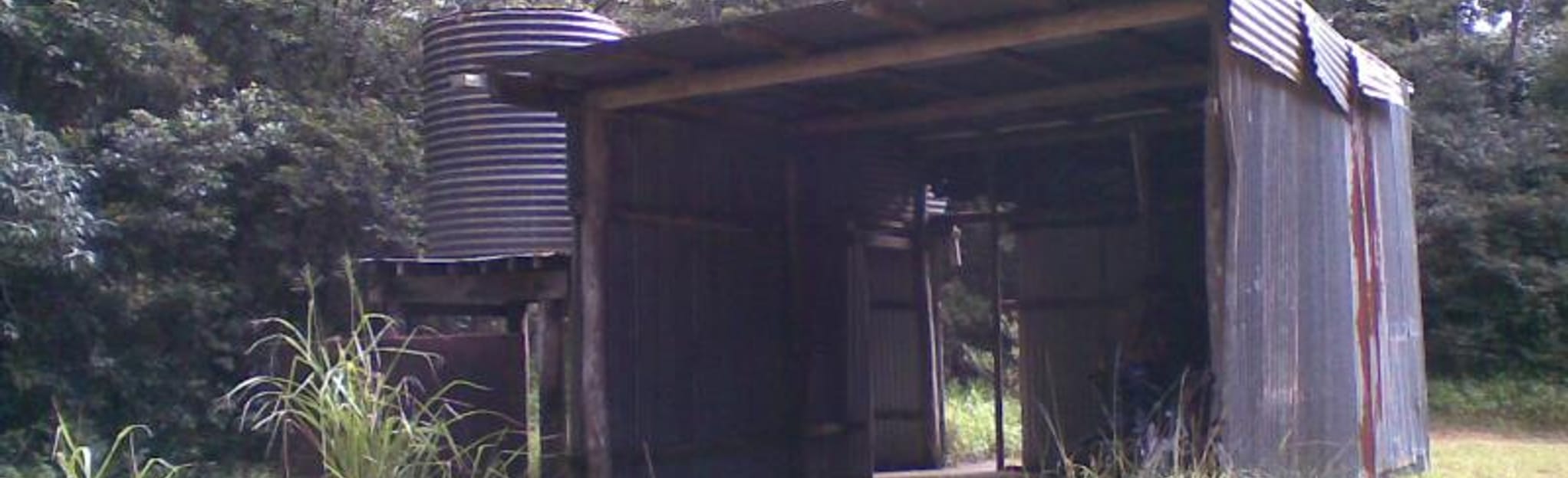 Mount Lewis Road, Queensland, Australia - 5 Reviews, Map | AllTrails