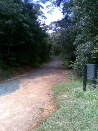 Best Hikes and Trails in Mount Lewis National Park | AllTrails