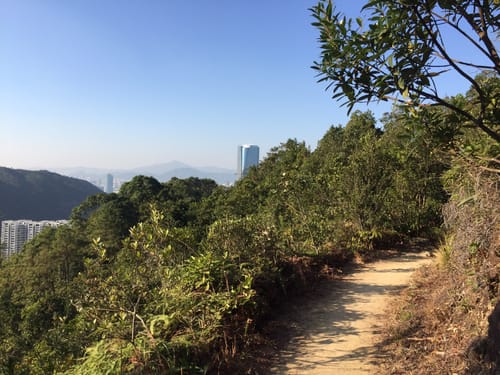 2023 Best Trails, Walks, and Paths in Tai Tam | AllTrails