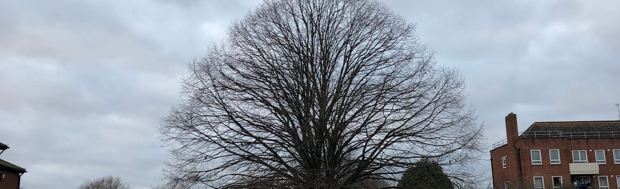 Capital Ring Walk Section 3: Grove Park to Crystal Palace - London ...