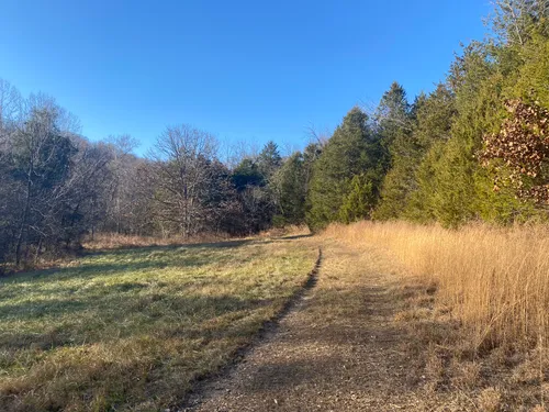 10 Best Hikes and Trails in Busiek State Forest and Wildlife Area ...