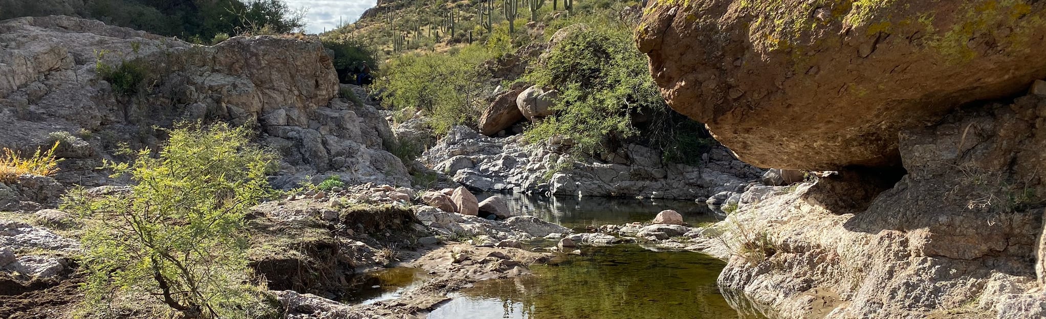Picketpost Loop via Arizona Trail and L.O.S.T Trail, Arizona - 1,354 ...