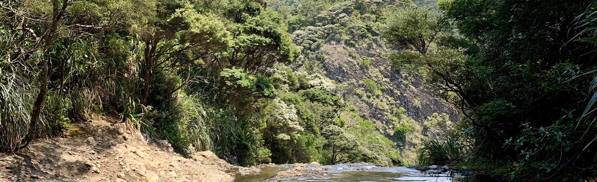 Kitekite Falls via Winston Track - Auckland, New Zealand | AllTrails