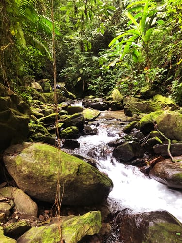 Best Hikes and Trails in Rawacala Rainforest Adventure EcoPark | AllTrails
