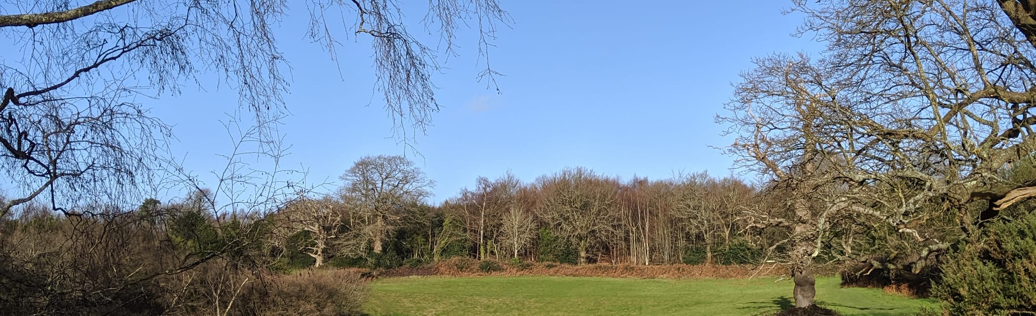 Walk Markbeech Circular: 104 Fotos - Kent, Inglaterra | AllTrails