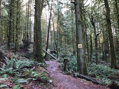 2023 Best 10 Trails and Hikes in Chilliwack | AllTrails