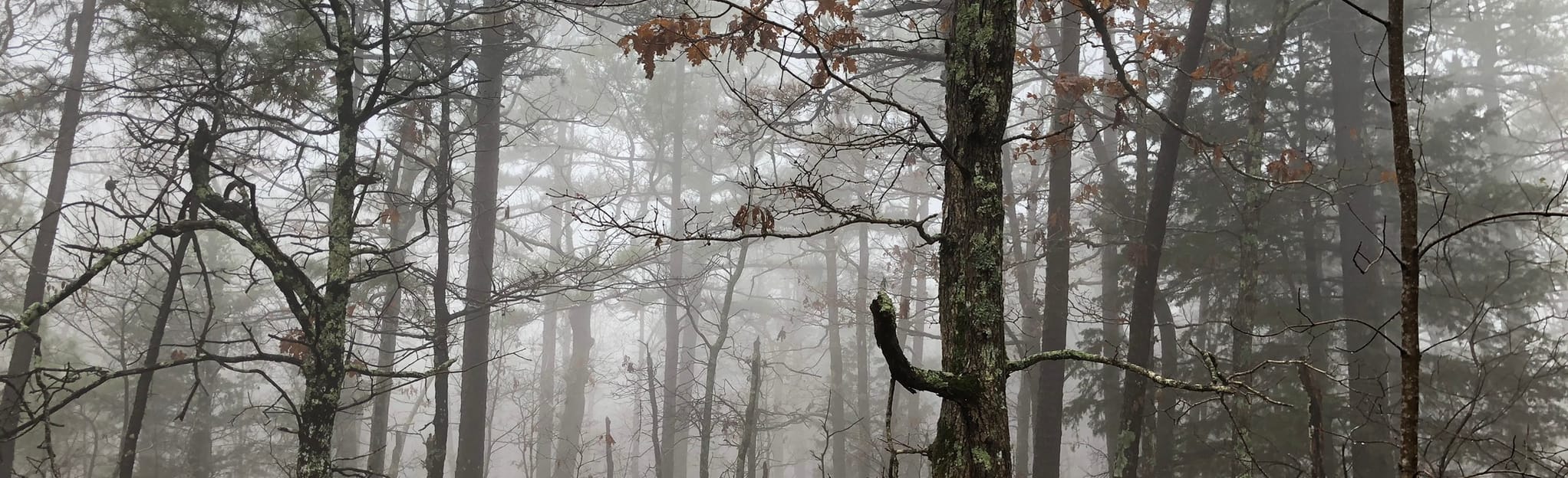 Slate Falls, 65 Photos - Arkansas | AllTrails