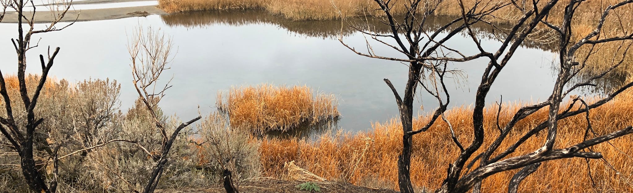 Lenice Lake, Washington - 5 Reviews, Map | AllTrails