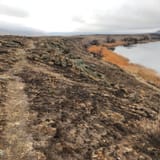 Lenice Lake, Washington - 6 Reviews, Map | AllTrails