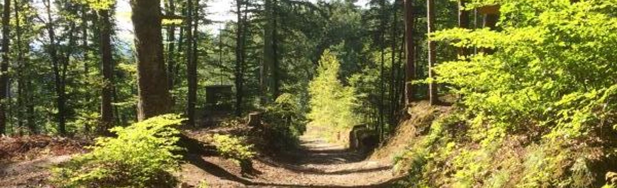 Ostring - Ostermunidgeberg: 3 Reviews, Map - Bern, Switzerland | AllTrails