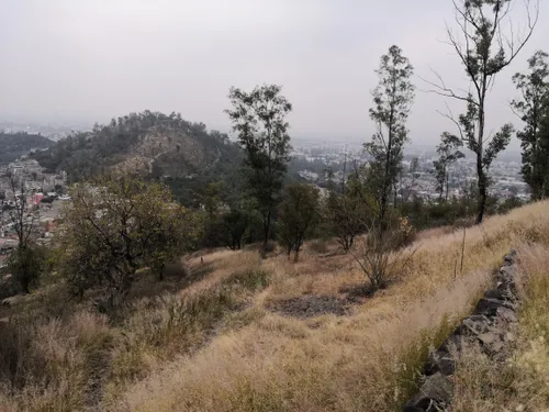 Best Moderate Trails in Parque Nacional el Tepeyac | AllTrails