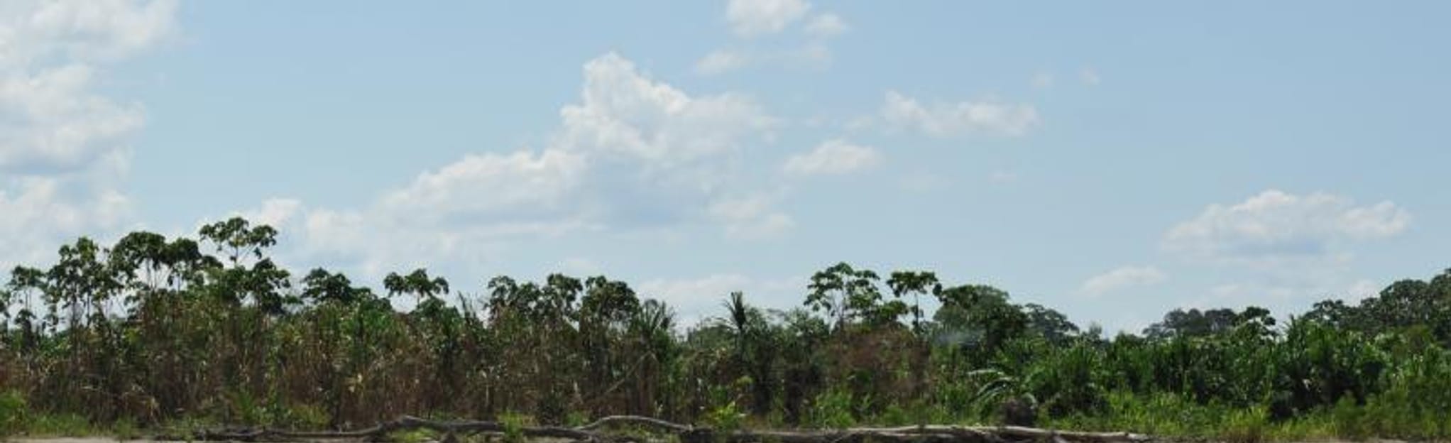 Boca Manu - Cusco: 2 Reviews, Map - Madre de Dios, Peru | AllTrails