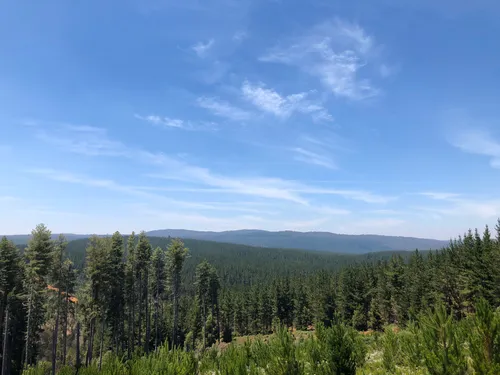 Best Hikes and Trails in Bago State Forest | AllTrails