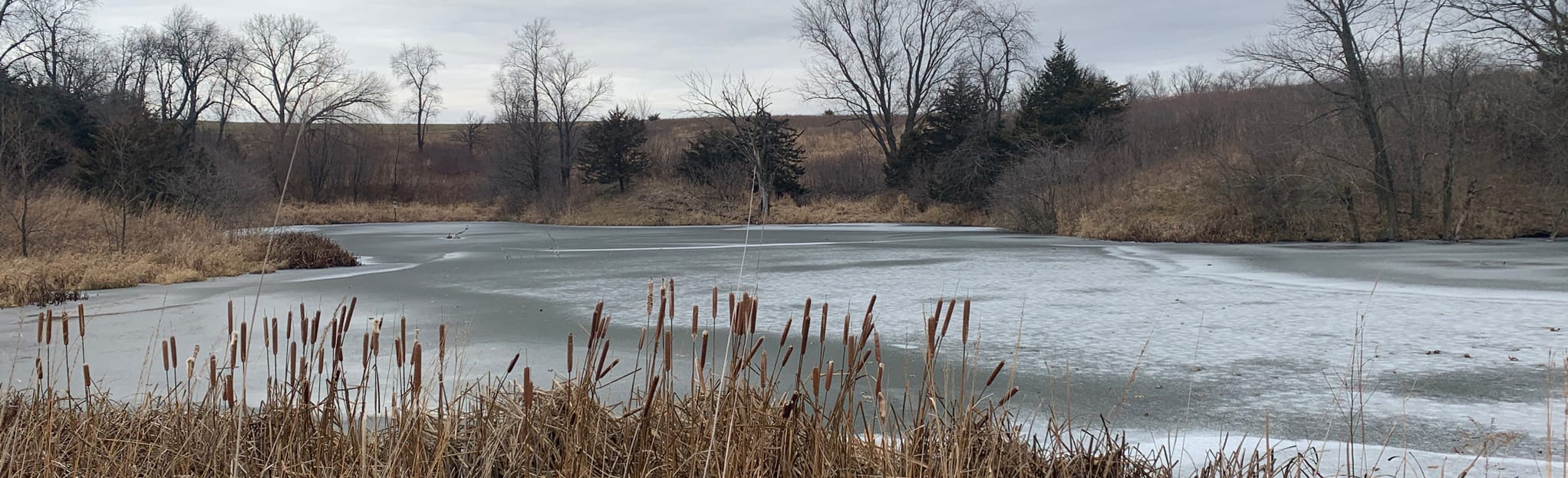 Hale Wildlife Loop, Iowa - 9 Reviews, Map | AllTrails
