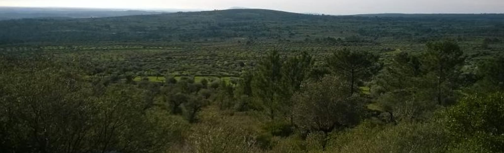 Trilho Moitas Covão Minde: 4 foto's - Santarém, Portugal | AllTrails