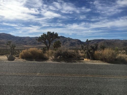 2023 Best Scenic Driving Trails in Joshua Tree National Park | AllTrails