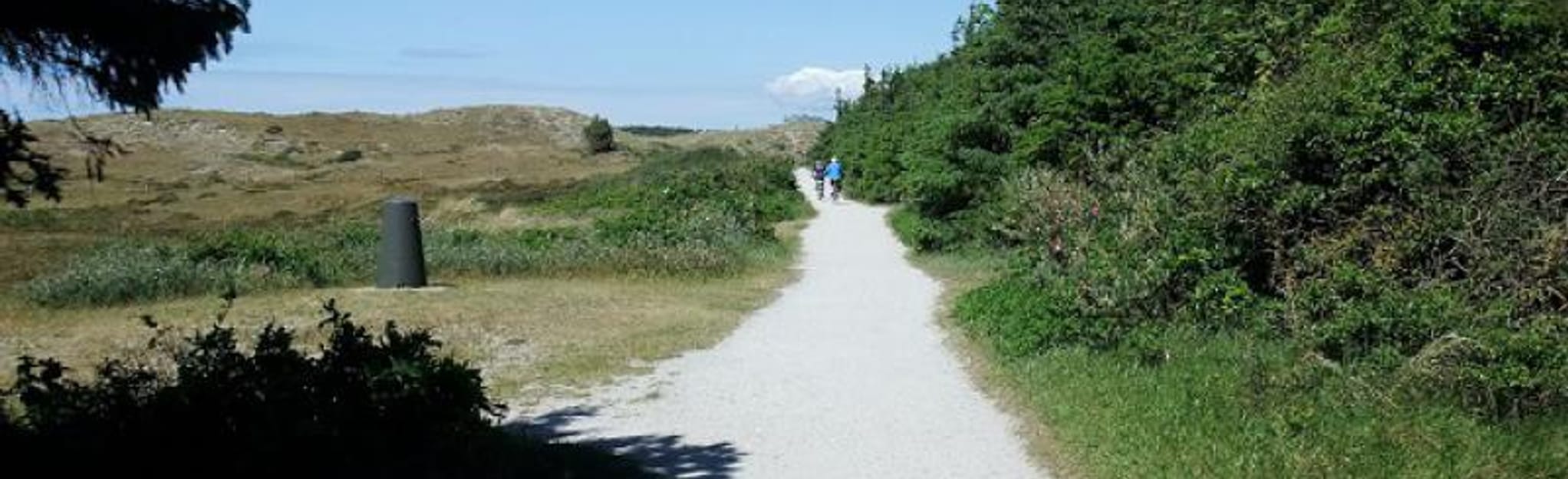 Petten - Dunes - Beach, North Holland, Netherlands - 25 Reviews, Map ...