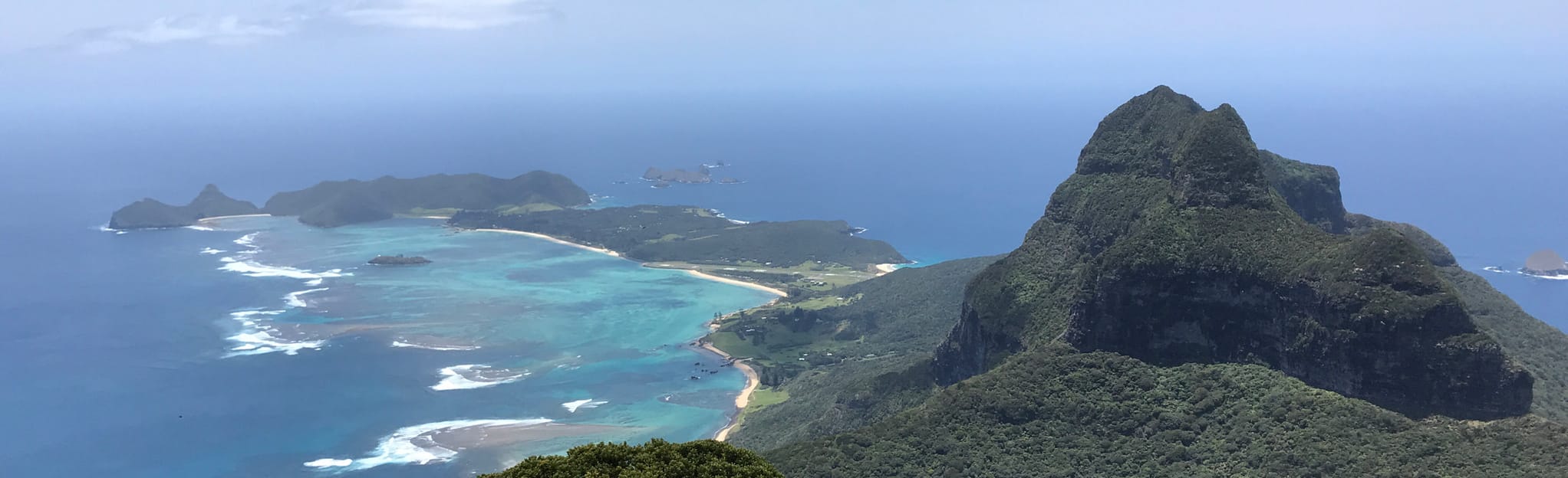 Mount Gower Track, New South Wales, Australia - 32 Reviews, Map | AllTrails