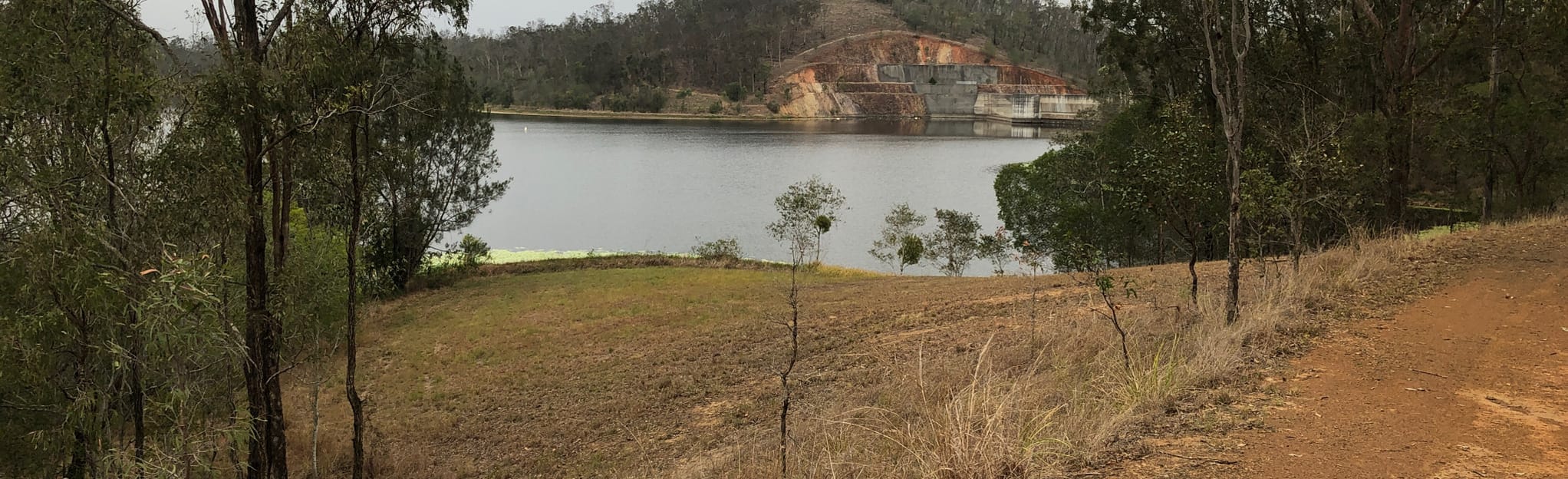 Lake Manchester Loop Walk, Queensland, Australia - 364 Reviews, Map ...