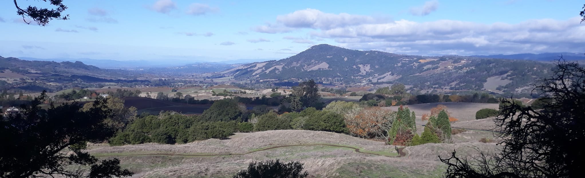 Bennett Valley Overlook, California - 371 Reviews, Map | AllTrails