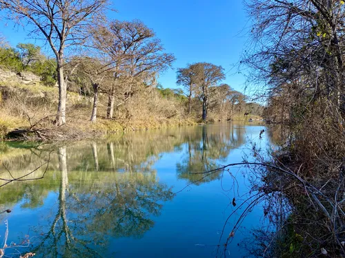 2023 Best Wild Flowers Trails in Spring Branch | AllTrails