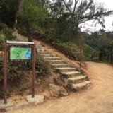 Coloane Trail, Macau - 37 Reviews, Map | AllTrails