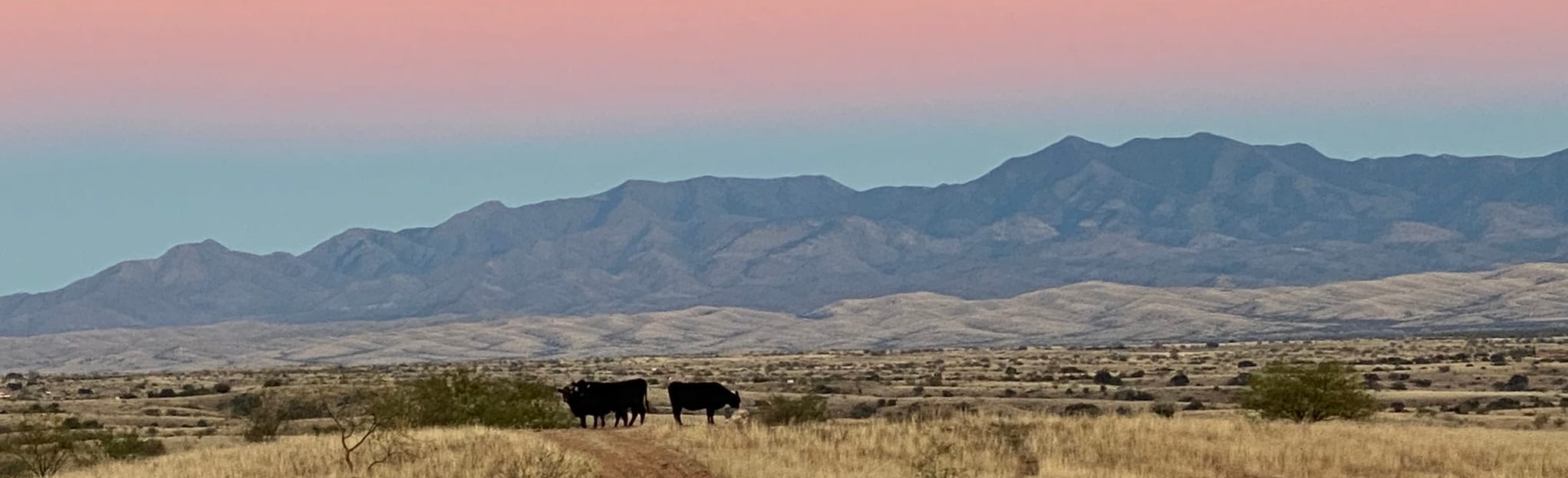 Kentucky Camp Trail | Map, Guide - Arizona | AllTrails