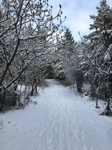 Best Hikes and Trails in Long Sault Conservation Area | AllTrails