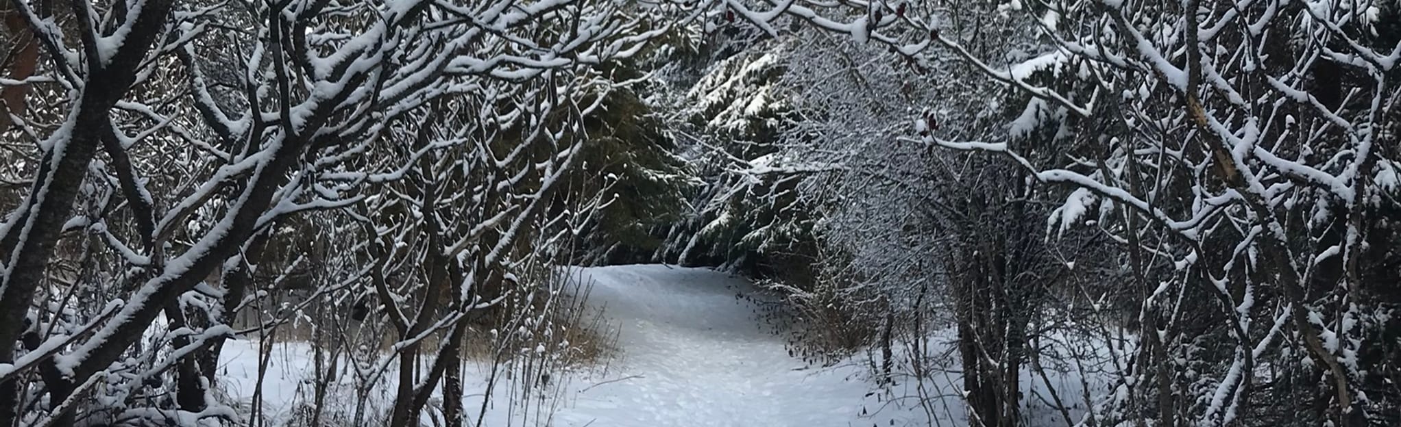 White Tailed Deer Trail: 221 Reviews, Map - Ontario, Canada | AllTrails