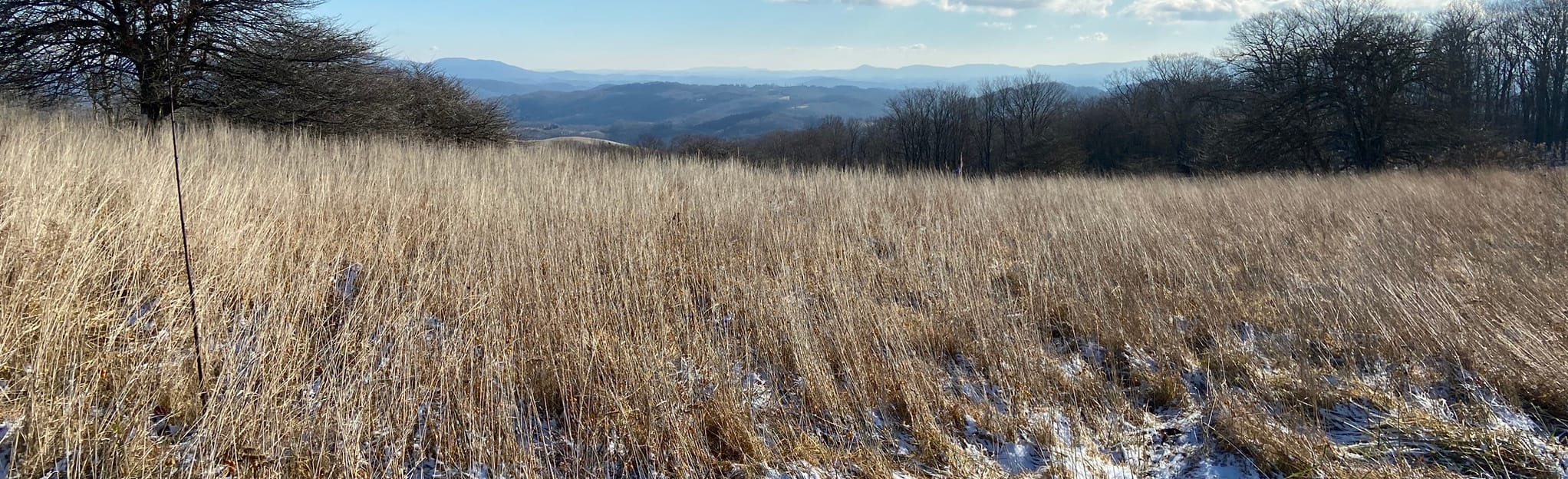 Haw Flats and Split Rock Trail: 10 Reviews, Map - Virginia | AllTrails