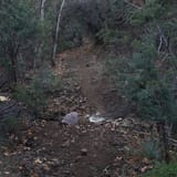 Haunted Canyon Trail #203, Arizona - 60 Reviews, Map | AllTrails