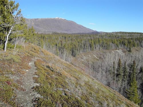 2023 Best Views Trails in Thompson-Nicola I | AllTrails