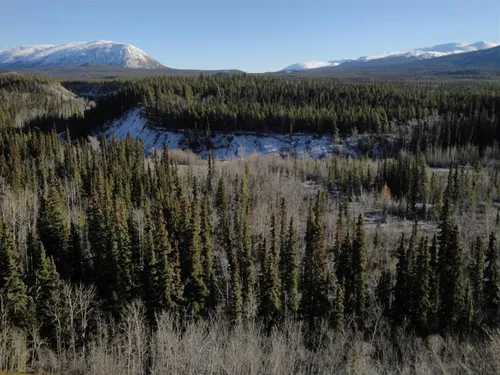 Best Kid Friendly Trails in Atlin | AllTrails