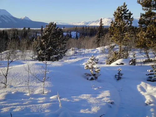 Atlin : les meilleures randonnées avec un lac en 2023 | AllTrails
