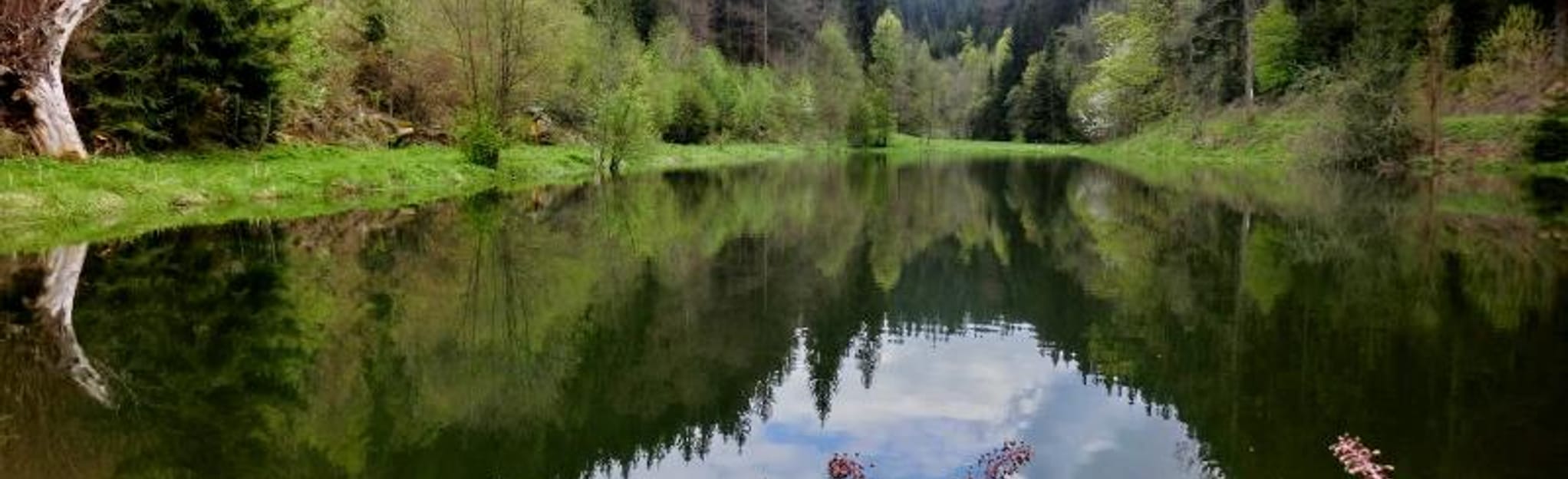 On the Frankenweg from Naila to Bischofsmuehle, Bavaria, Germany - 2 ...