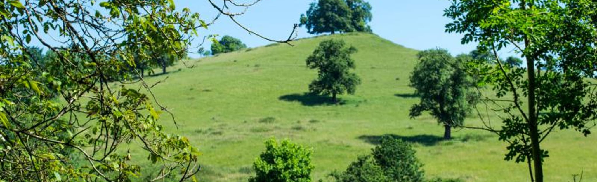 Rundwanderung Salem Affenberg: 1 Reviews, Map - Baden-Württemberg ...