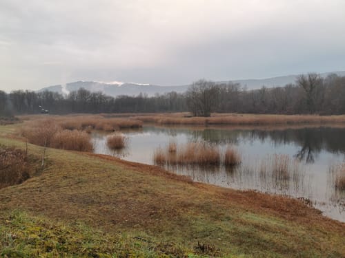 Best 10 Trails and Hikes in Geneva | AllTrails