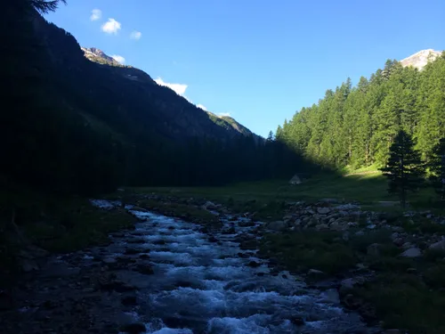 Best Forest Trails in Gondo | AllTrails