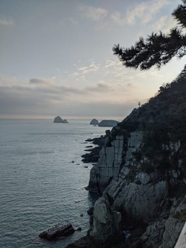 Best 10 Trails and Hikes in Busan | AllTrails