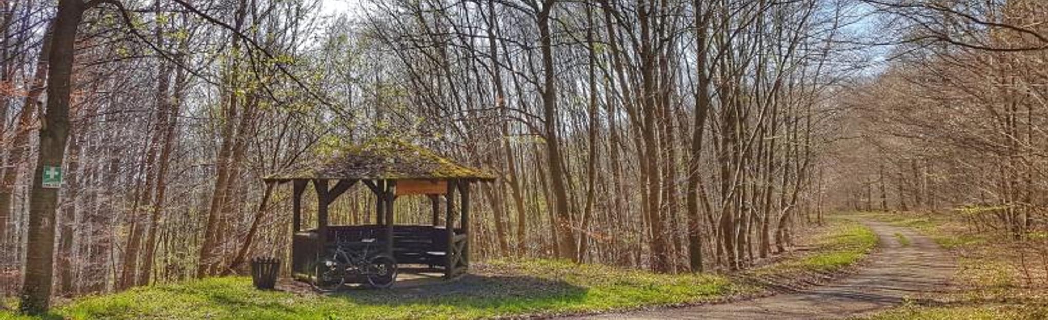 Rundwanderweg Hassenroth 3 : Waldlehrpfad, Hesse, Germany - Map, Guide ...