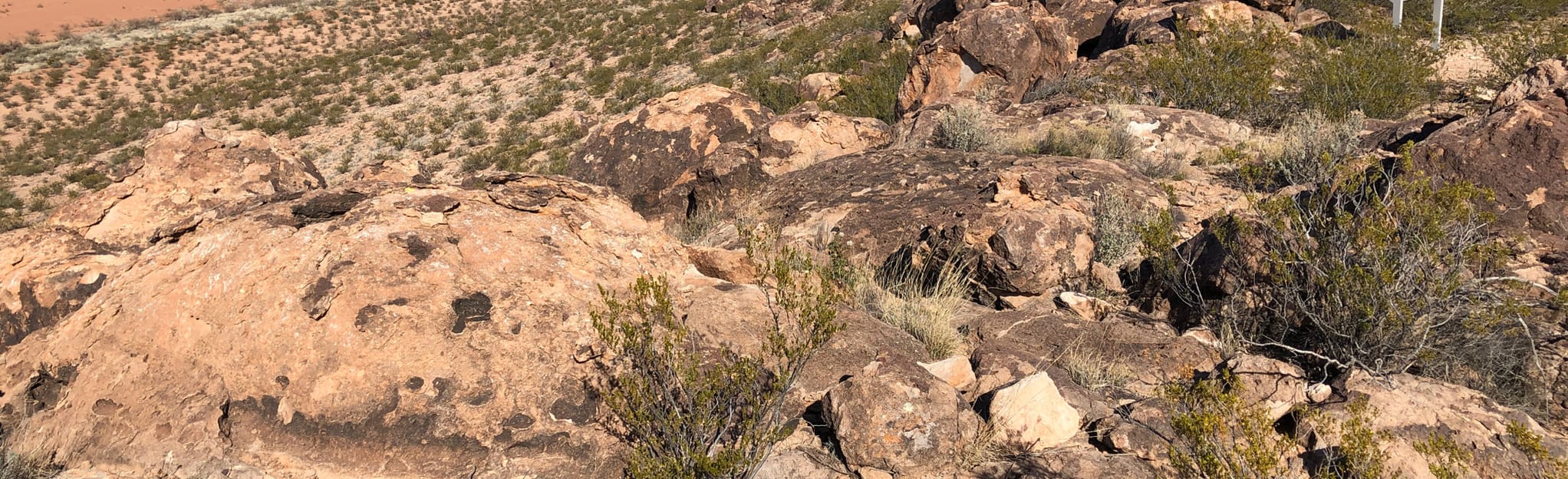 Point of Rocks: 23 Reviews, Map - New Mexico | AllTrails