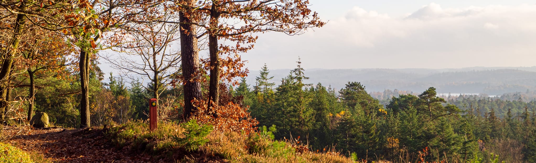 Northern Forest and Hills, Central Denmark, Denmark - 51 Reviews, Map ...