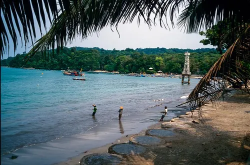 Best Hikes and Trails in Cagar Alam Pangandaran | AllTrails