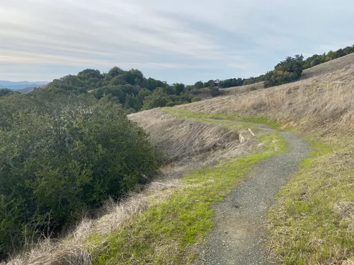 Best Hikes and Trails in Russian Ridge Open Space Preserve | AllTrails