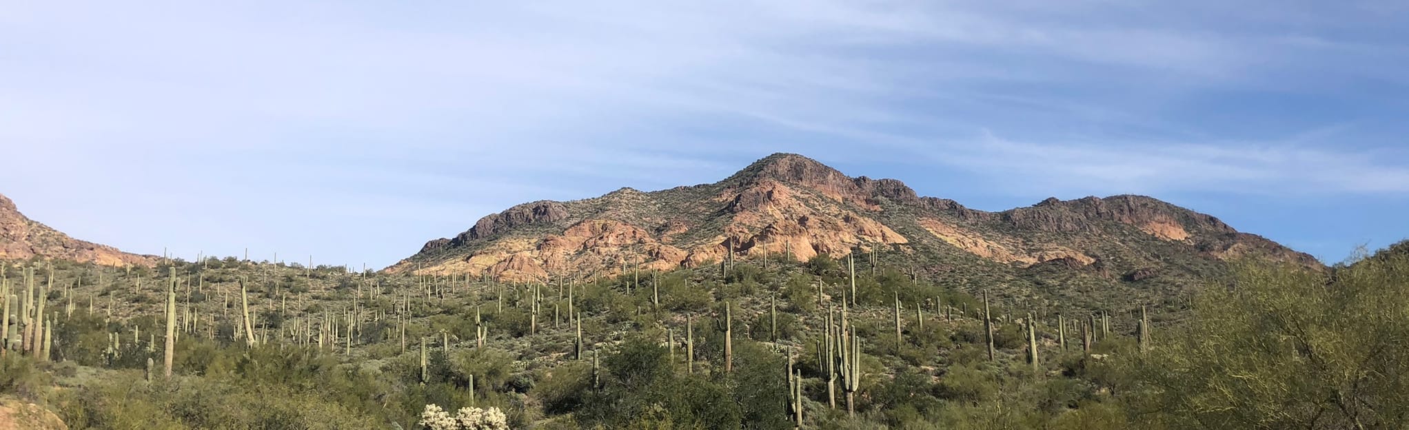 Wolverine Pass, Arizona - 96 Reviews, Map | AllTrails