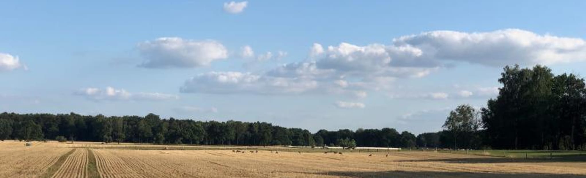 Templin - Neu Placht - Röddelin, Brandenburg, Germany - Map, Guide ...