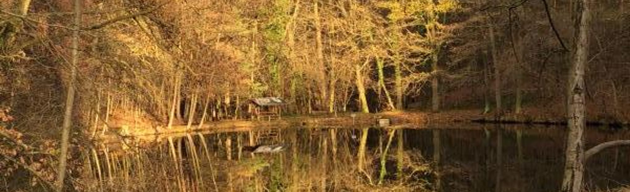 Lehrpfad "Obere Aue", Saxony, Germany - Map, Guide | AllTrails