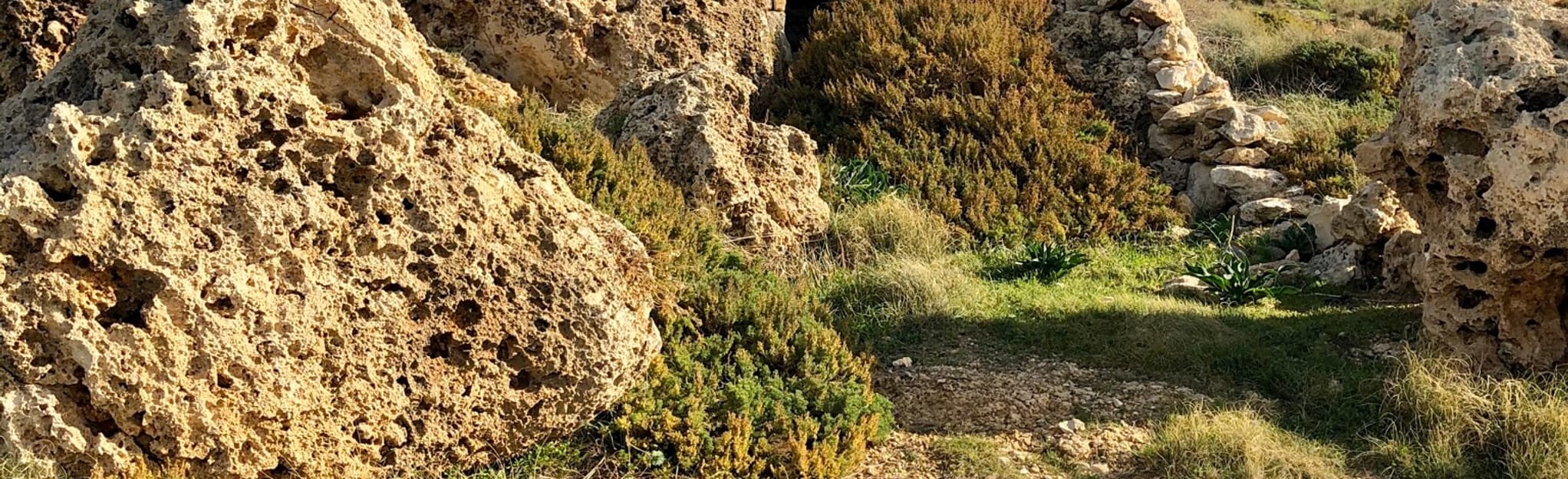 Imtahleb Loop, Rabat, Malta - 70 Reviews, Map | AllTrails