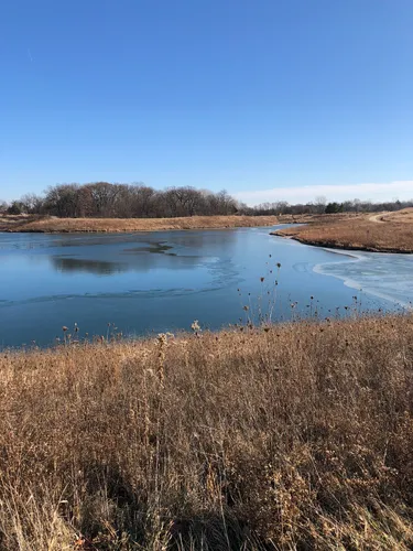 Best Hikes and Trails in Meacham Grove Forest Preserve | AllTrails